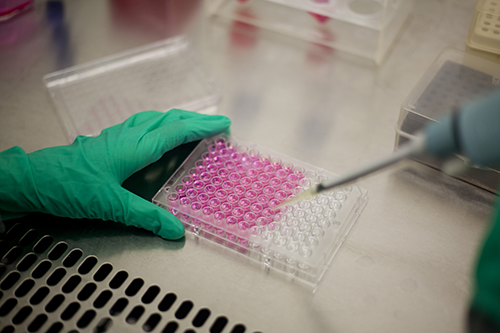 In Vitro Safety Test| Landproof